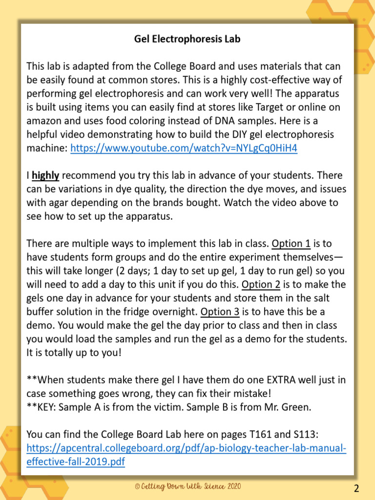 DIY Gel Electrophoresis Lab Guide | PDF | Agarose Gel Electrophoresis