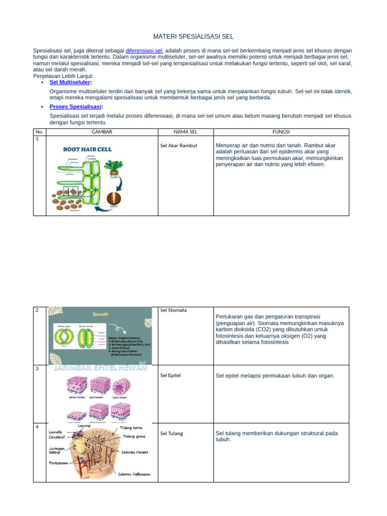 Spesialisasi Sel dan Fungsinya | PDF