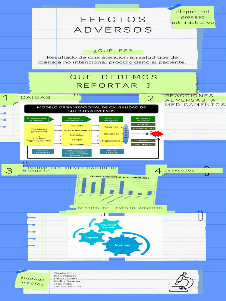 Infografía Evento Adverso | PDF