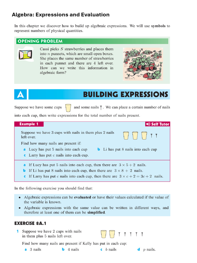 Algebra Concepts: Expressions & Fractions | PDF
