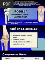 Maniobras de Bostezo en la Rodilla | PDF | Rodilla | Anatomía del ...
