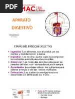 ESÒFAGO (Anatomía, Embriología, Histología y Fisiología) | PDF ...