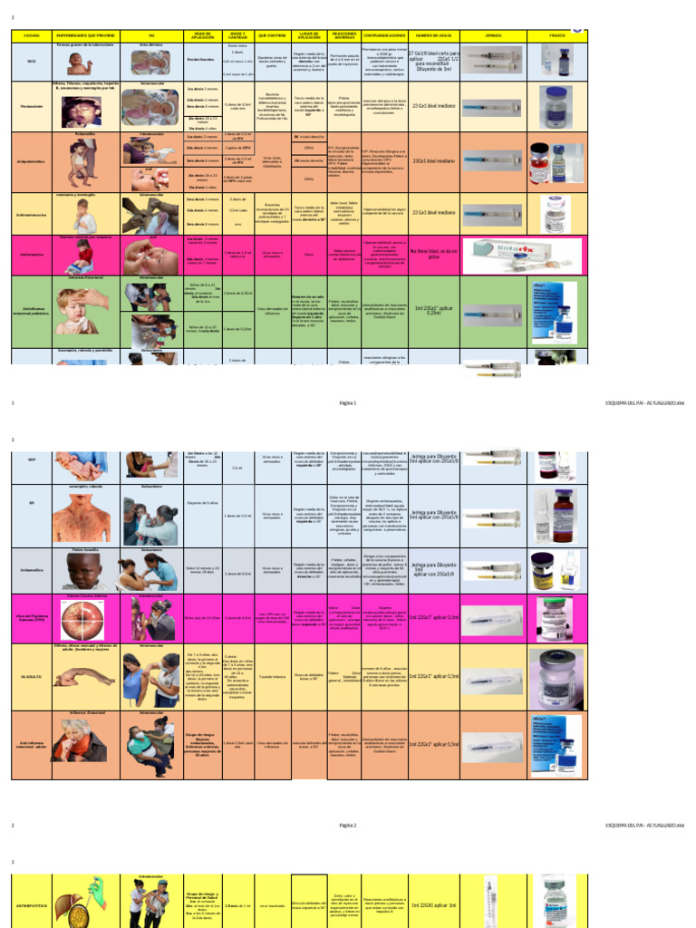 Esquema Del Pai - Actualizado | PDF | Influenza | Medicina CLINICA