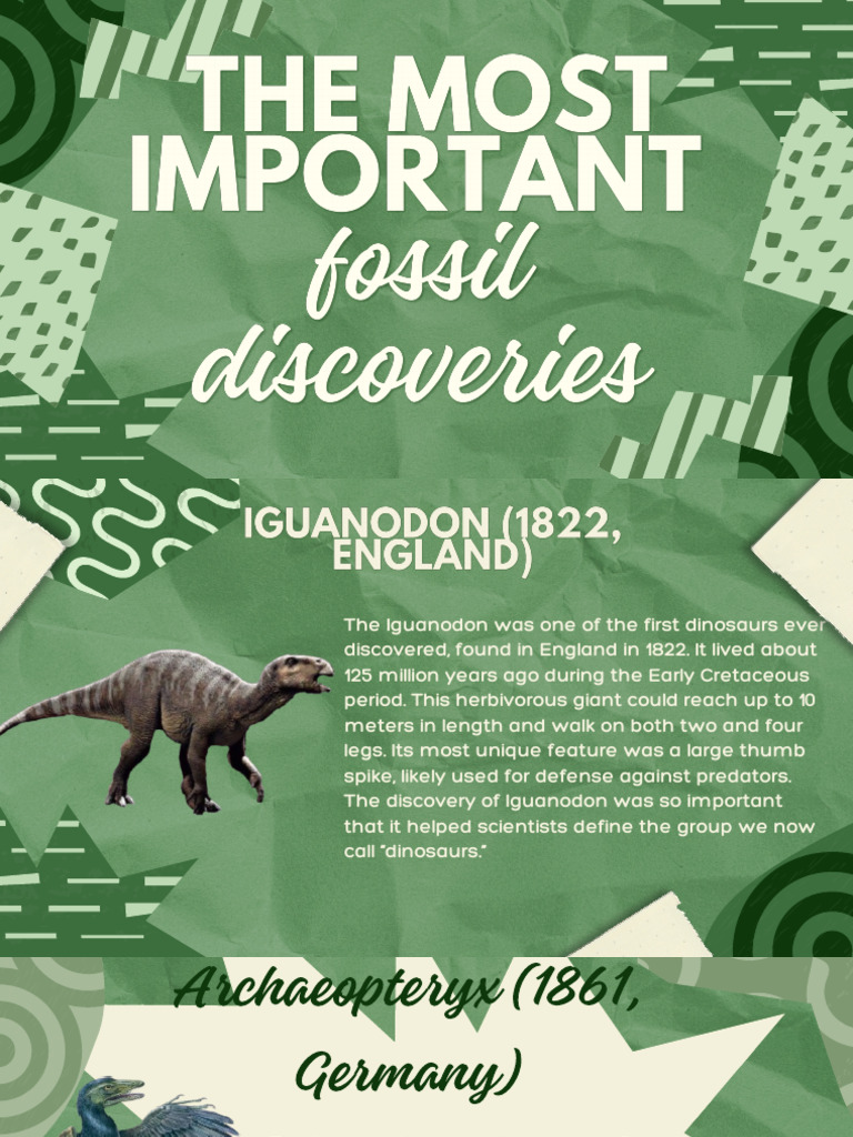 The Most Important Fossil Discovered | PDF