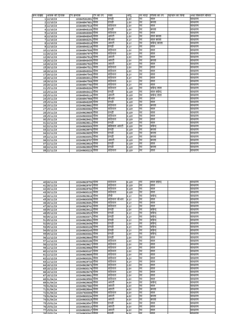 Sample P5 | PDF