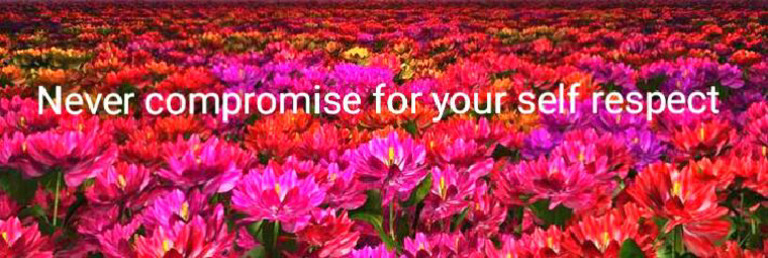 Never Compromise | PDF