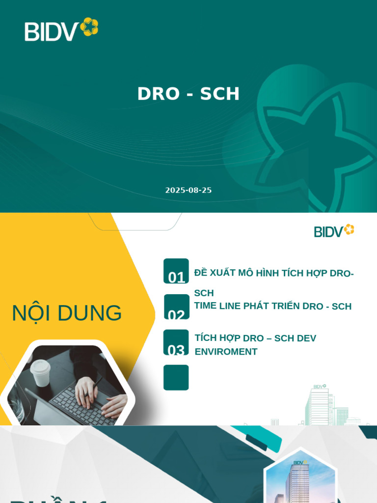 Dro SCH 20250825 - Draft | PDF