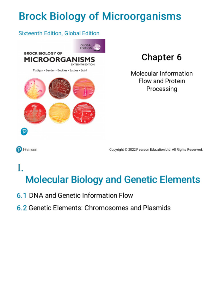 Bbom16 ch06 Lecture Presentation | PDF | Dna Replication | Ribosome