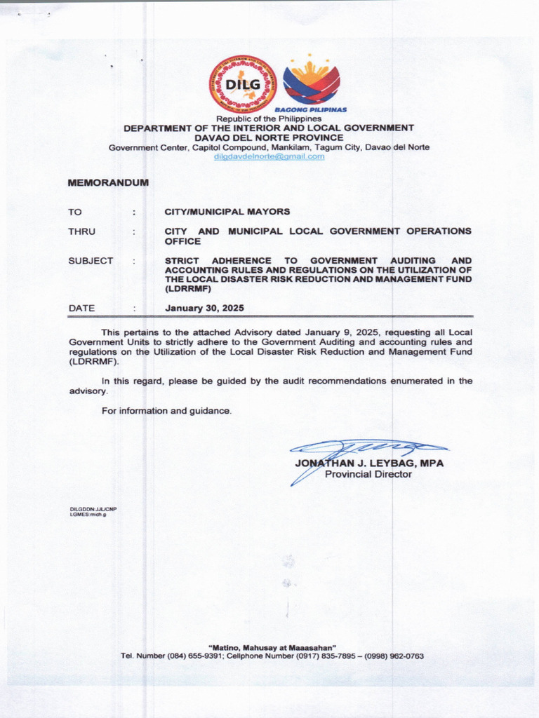 Dilg Advisory Ldrrmf | PDF