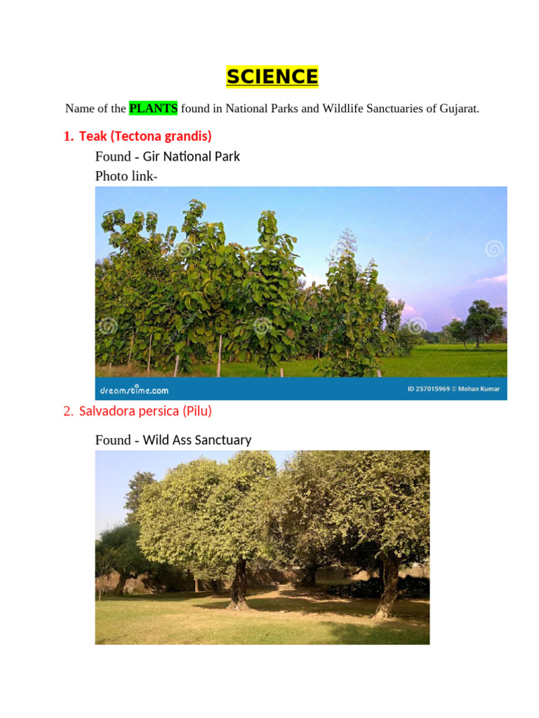 Science Holiday Homework Class 8 Shivani | PDF