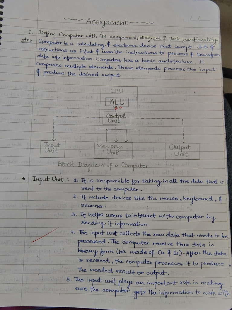 Assignment of C and Computer Fundamentals | PDF