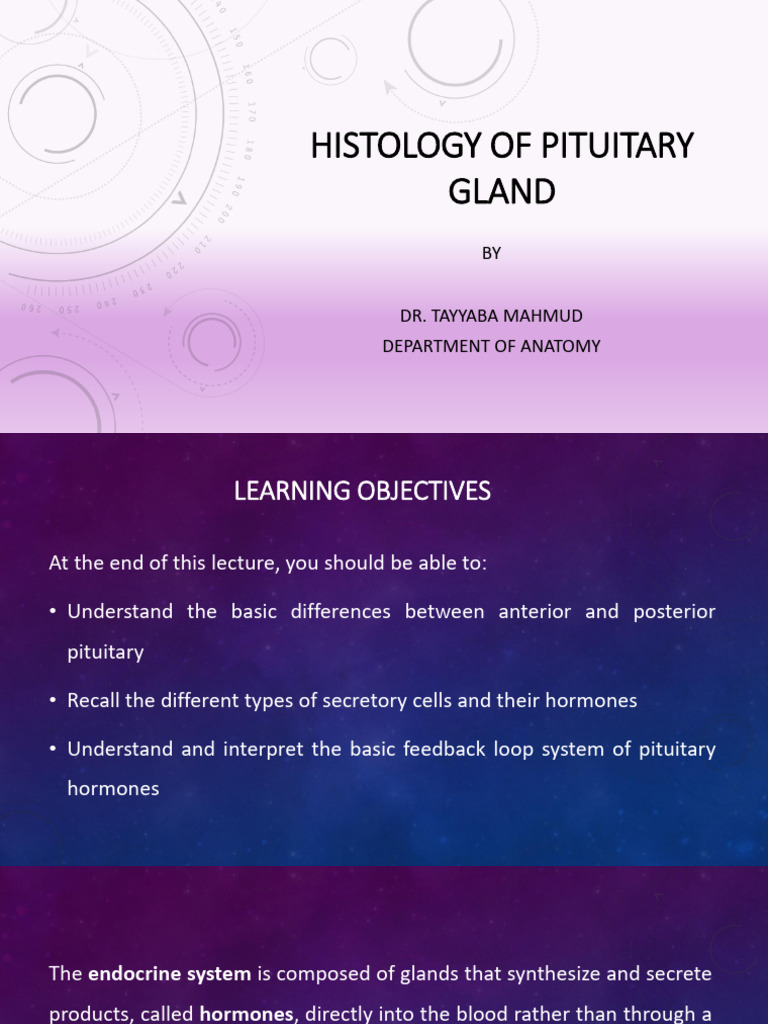Histology of Pituitary Gland | PDF