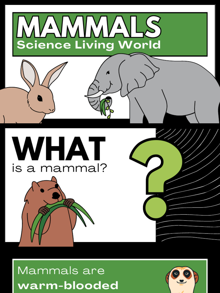 Grade 1, 2 Science Living World Mammals Presentation in Green Black ...