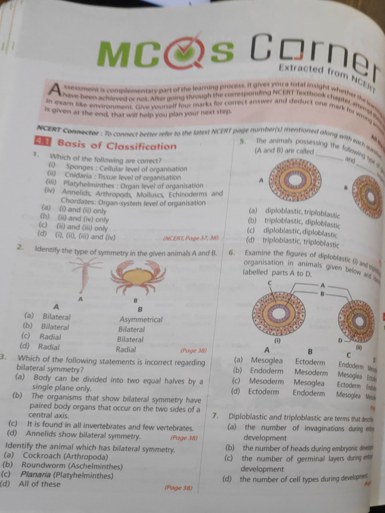 Animal Kingdom Questions | PDF