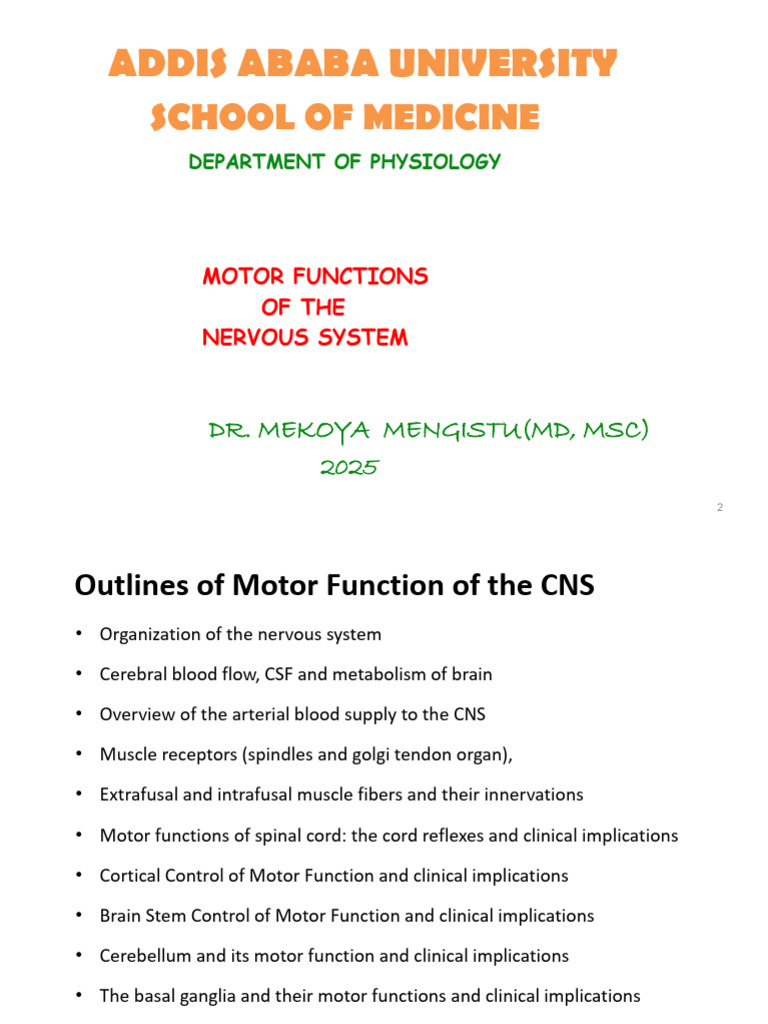 Motor Function of CNS-aau-2025 | PDF | Motor Neuron | Spinal Cord
