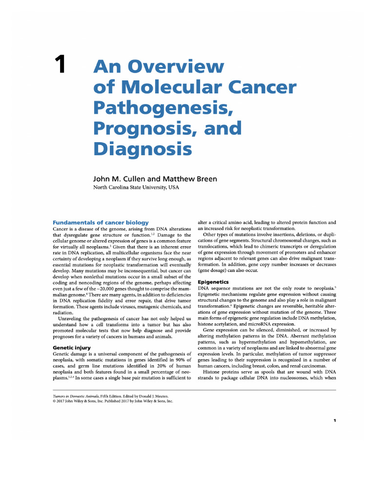 An Overview of Molecular Cancer Pathogenesis, Prognosis, and Diagnosis ...