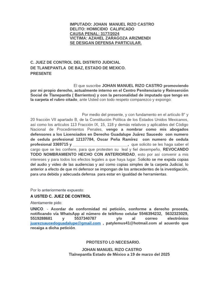 Defensa de Johan Rizo por Homicidio | PDF