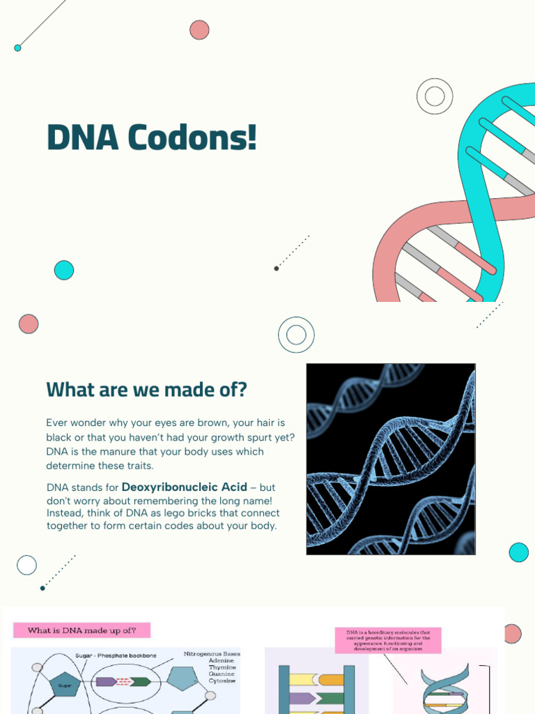 DNA Codon - Year 67 Science Week | PDF