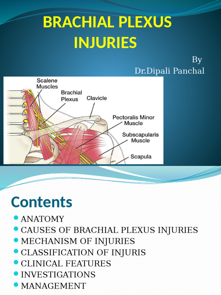Brachial Plexus Injuries | PDF | Arm | Human Anatomy
