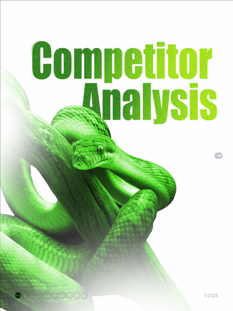 Competitor Analysis | PDF