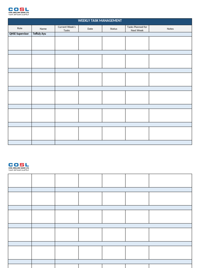 Weekly Task Management | PDF