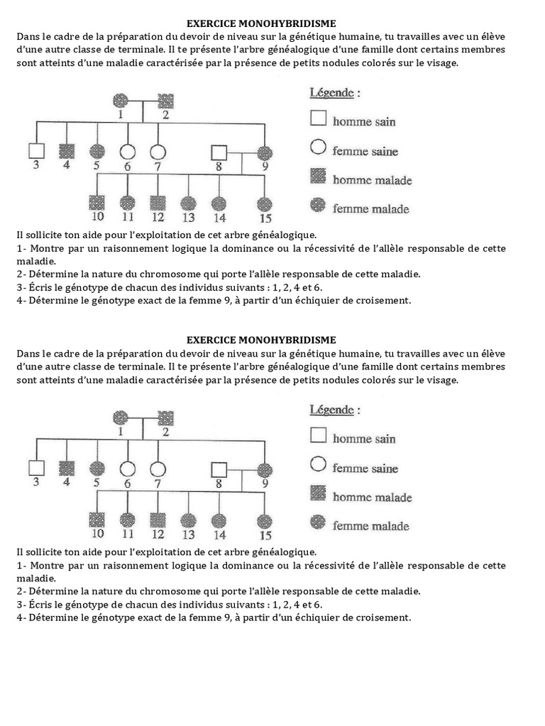 Exercices corrigés de monohybridisme | PDF