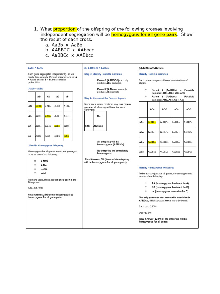 24 25 Bio 223 Genetics Exercise 2 | PDF | Dominance (Genetics) | Genotype