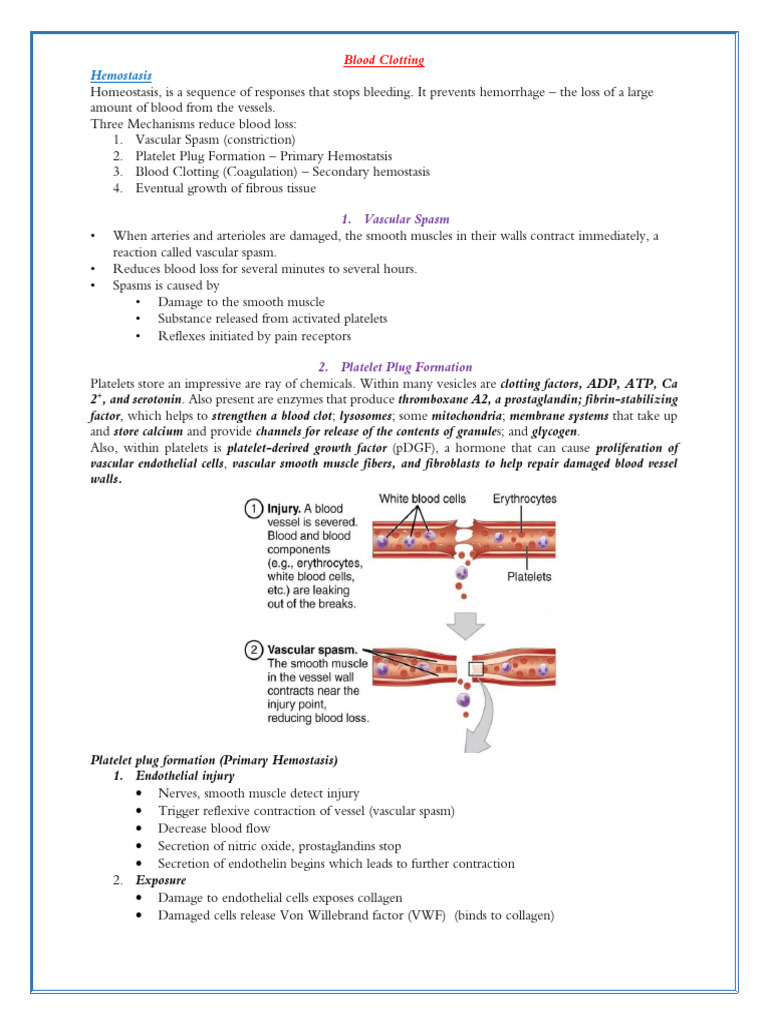 Blood Cogulation That The Human Body Have and Have Not Is Listed or Yet ...