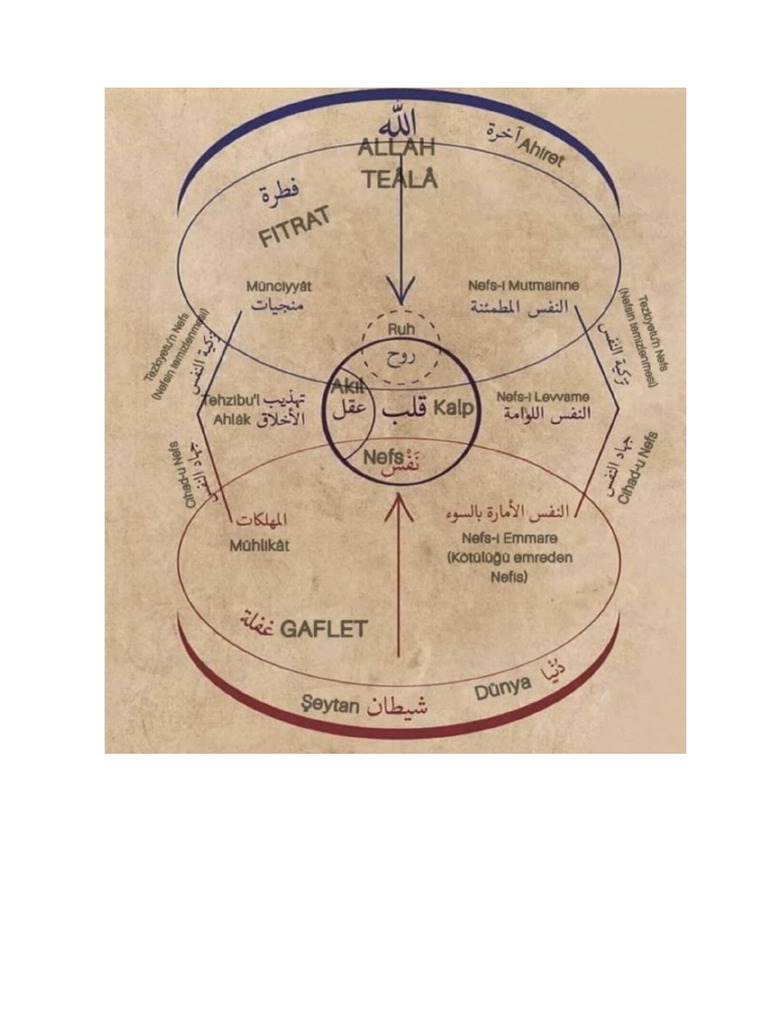 Perplexity İbni Arabi'Nin Ruh Diyagramı | PDF