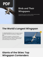 Bird Wing Types and Their Functions | PDF | Birds | Ornithology