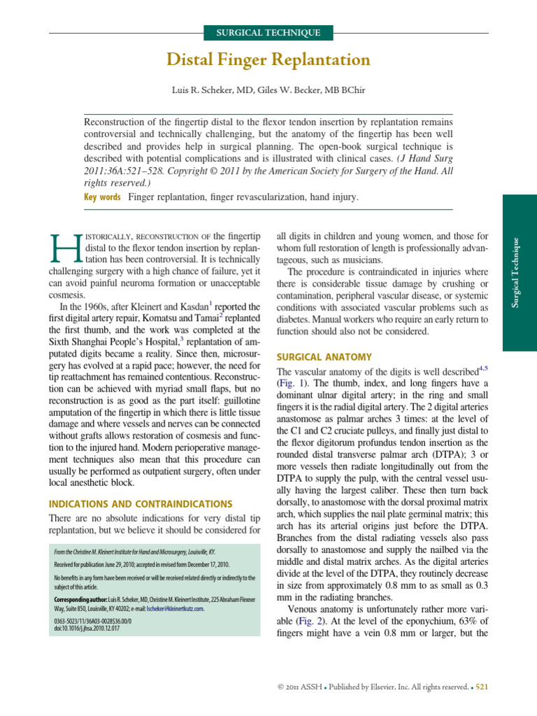 Distal Finger Replantation Technique | PDF | Vein | Hand