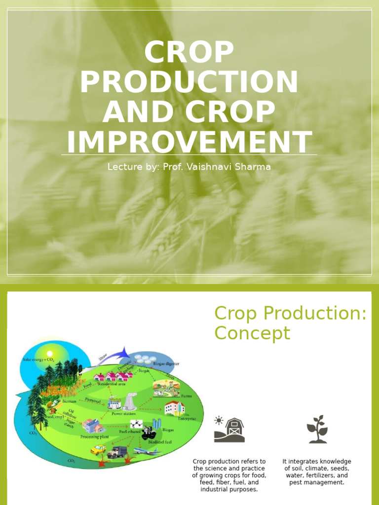 Crop Production and Improvement Overview | PDF | Agriculture | Plant ...