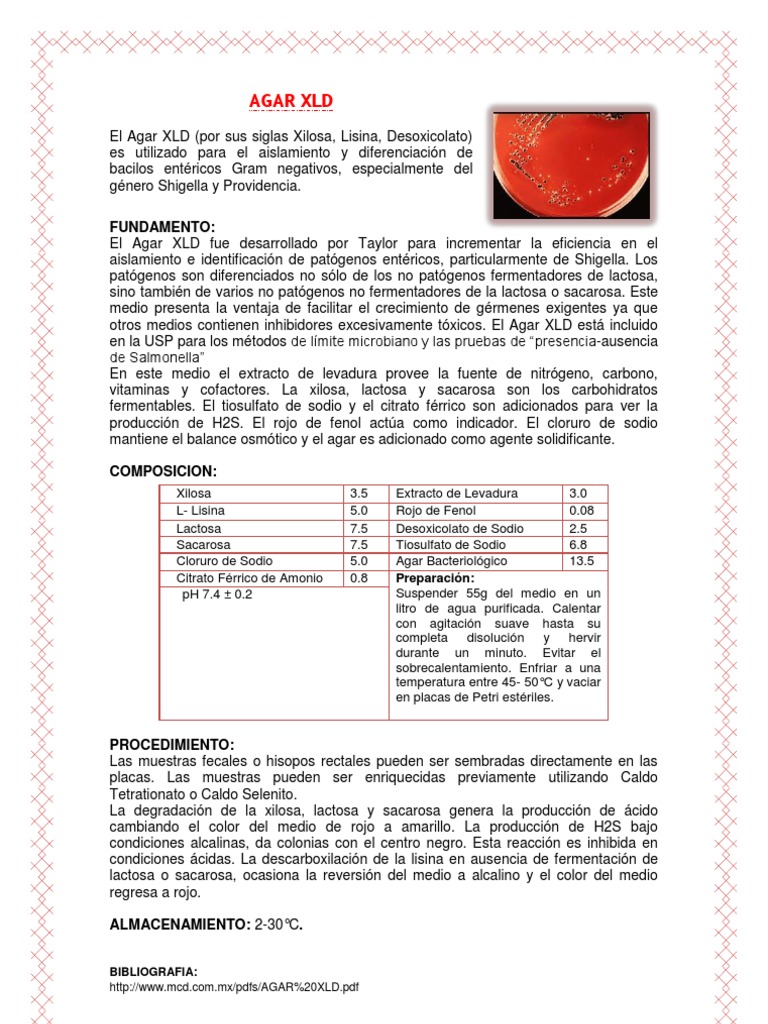 Xld Agar Results
