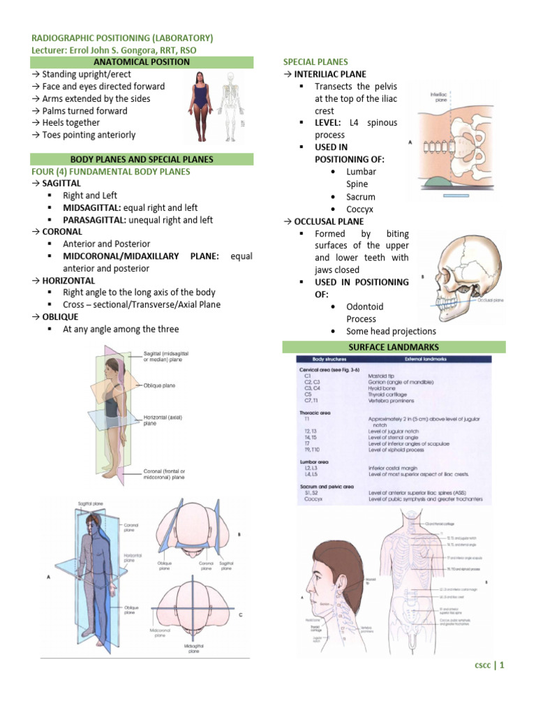 Radiographic Positioning Techniques | PDF | Elbow | Anatomical Terms Of ...