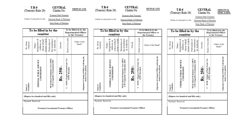 CE 2025 MPT Challan Form | PDF | Economies | Service Industries