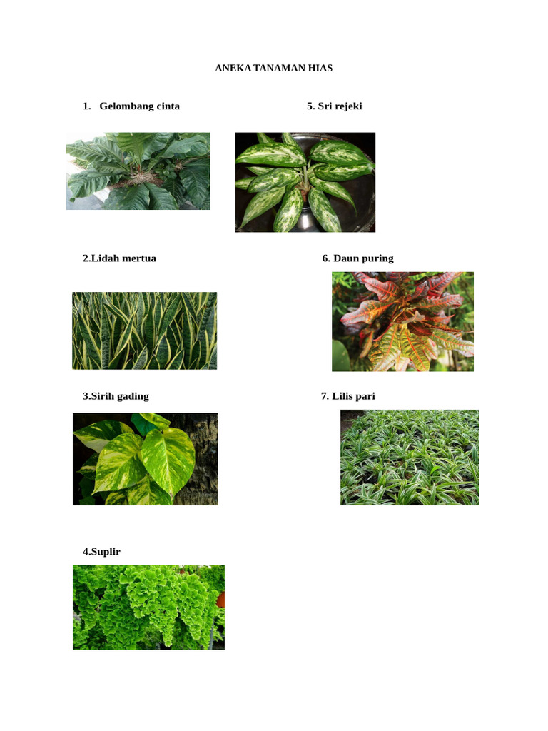 Aneka Tanaman Hias | PDF