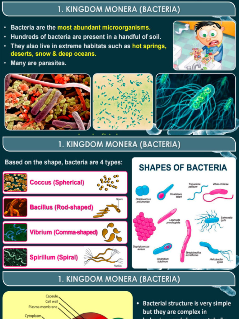 Biological Classification | PDF
