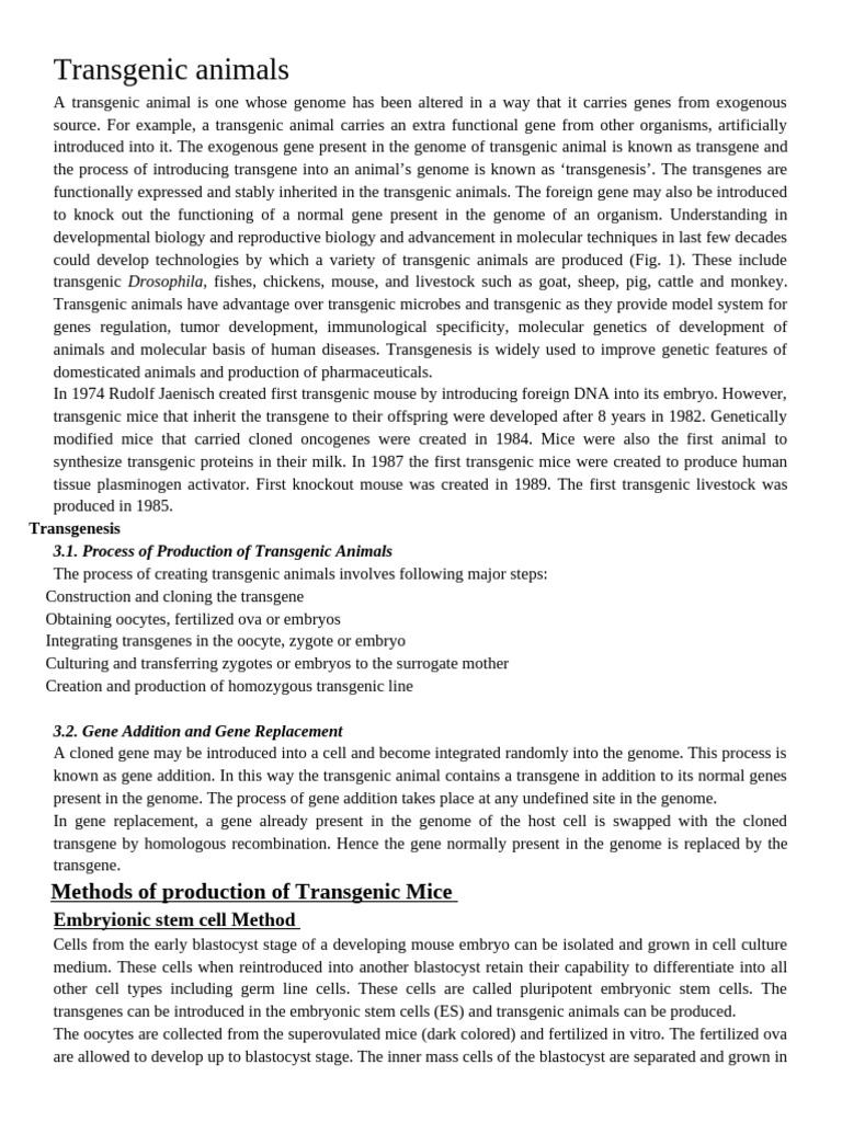 Transgenic Mice, 3mbryonic Stem Cell Mmethod | PDF | Transgene ...