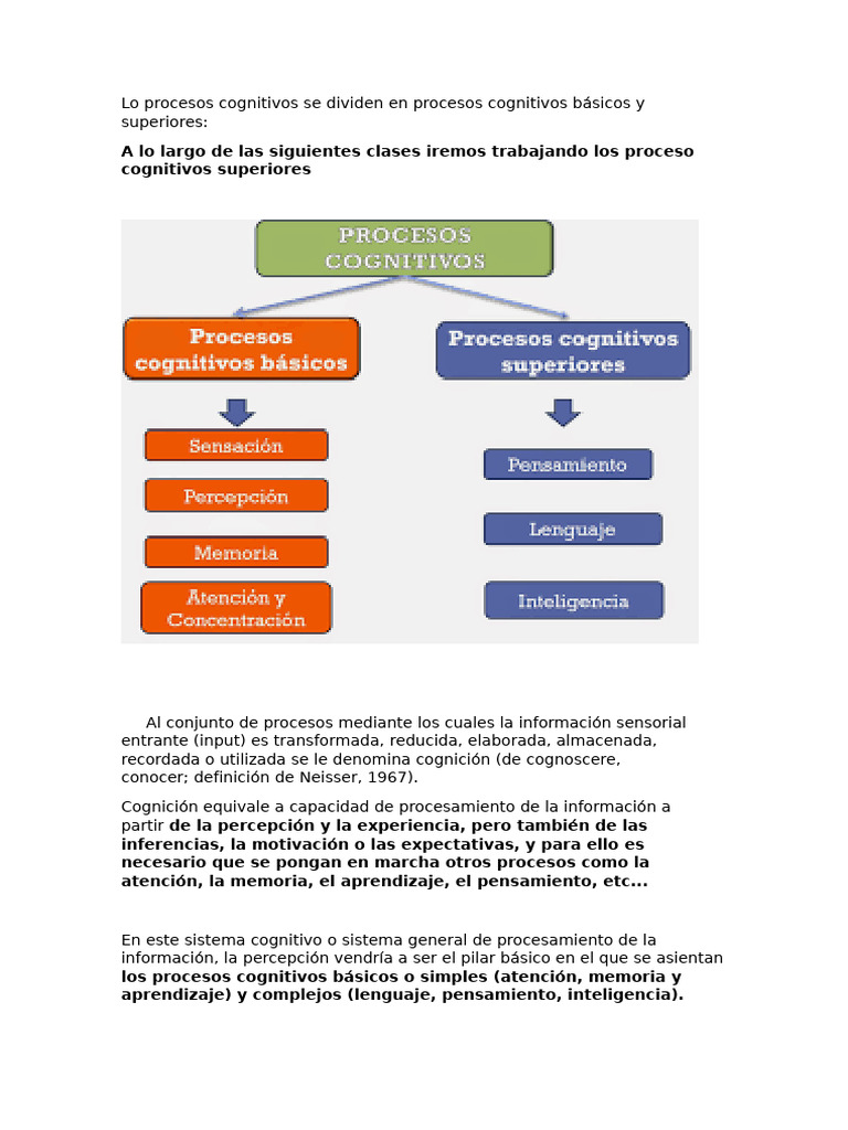 Procesos Cognitivos: Básicos y Superiores | PDF | Pensamiento | Cognición