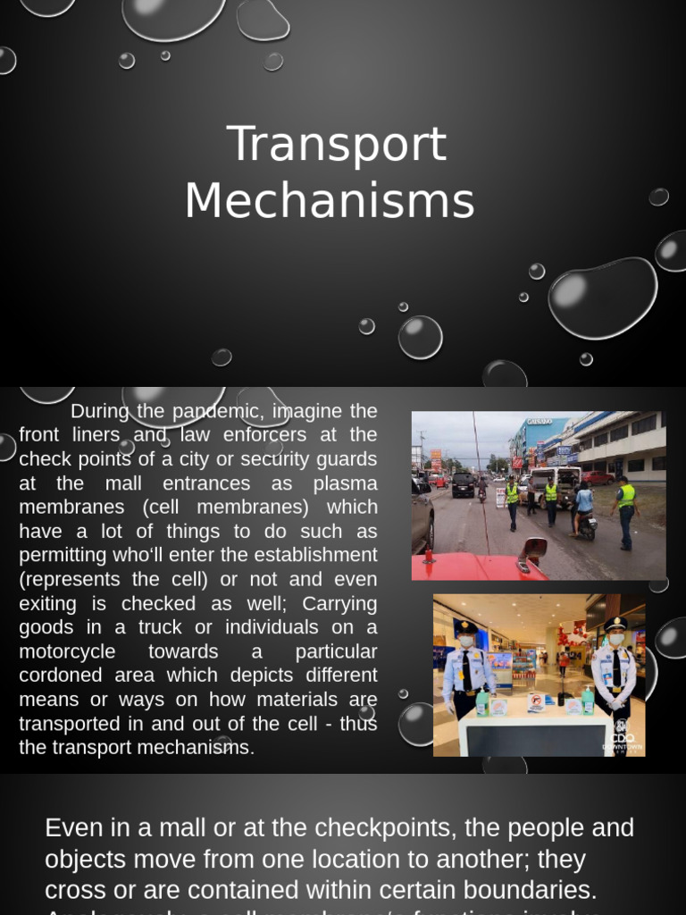 Understanding Cell Membrane Transport | PDF | Cell Membrane | Lipid Bilayer