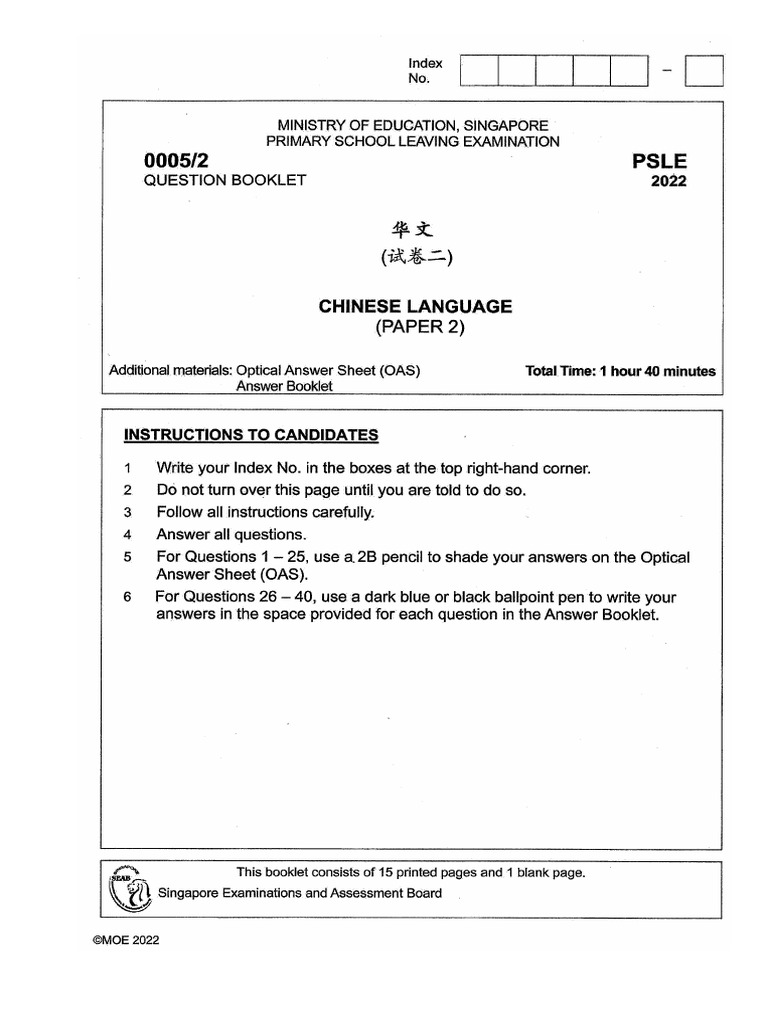 PSLE Chinese 2022 Paper 2 | PDF