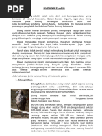 Jenis-Jenis Elang di Indonesia | PDF