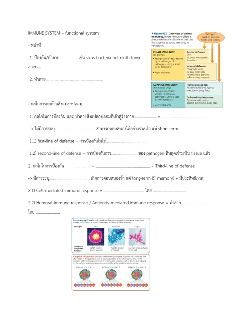 Immune System Abig | PDF