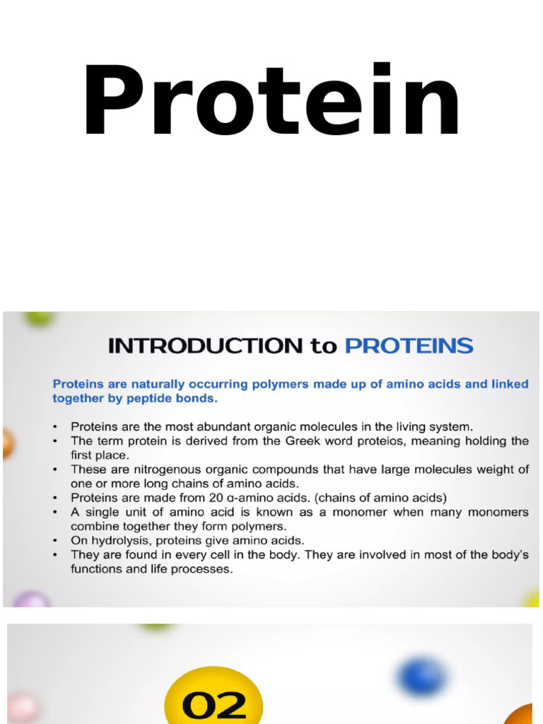 Protein Pdf
