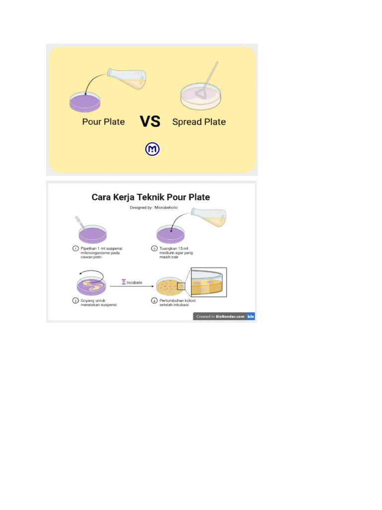 Pour Plate & Spread Plate | PDF