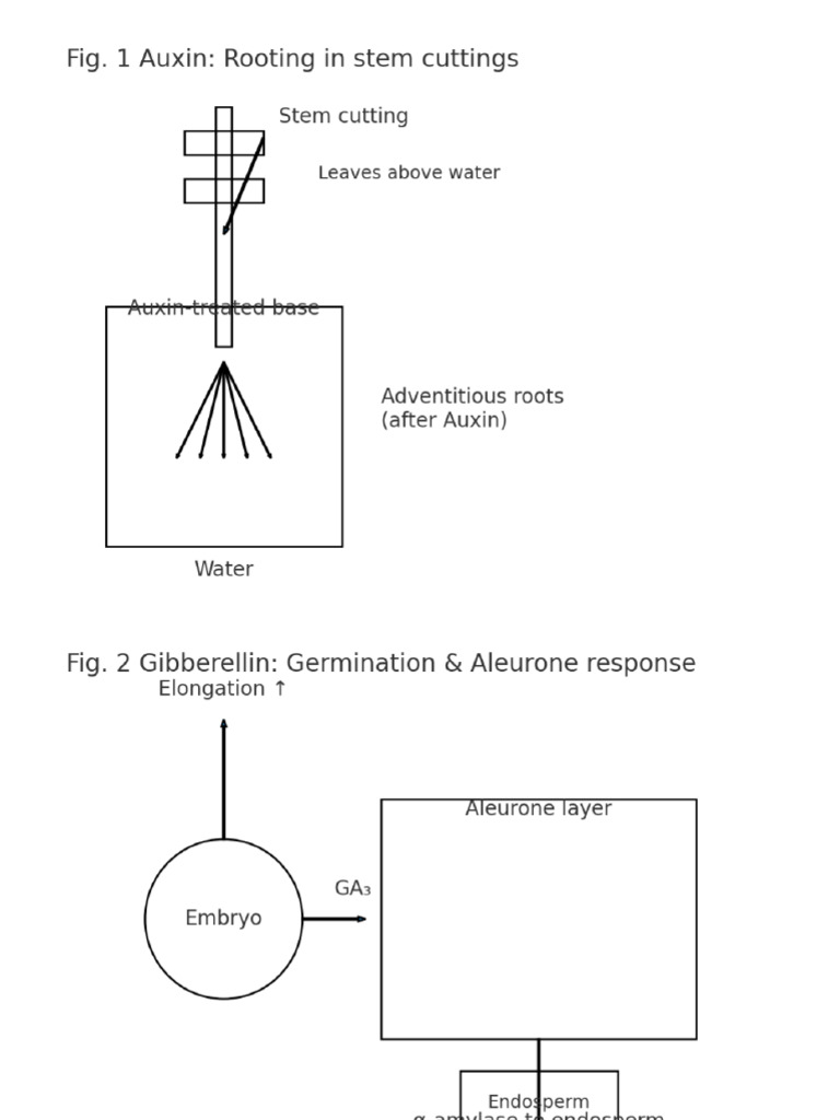 PGR Diagrams | PDF