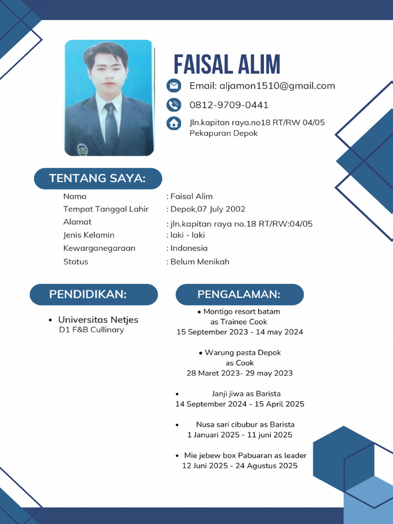CV Faisal Alim (New) | PDF