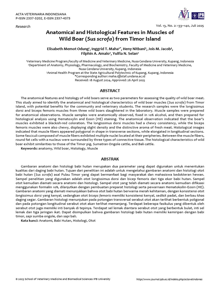 Wild Boar Muscle Anatomy and Histology | PDF | Skeletal Muscle | Muscle ...