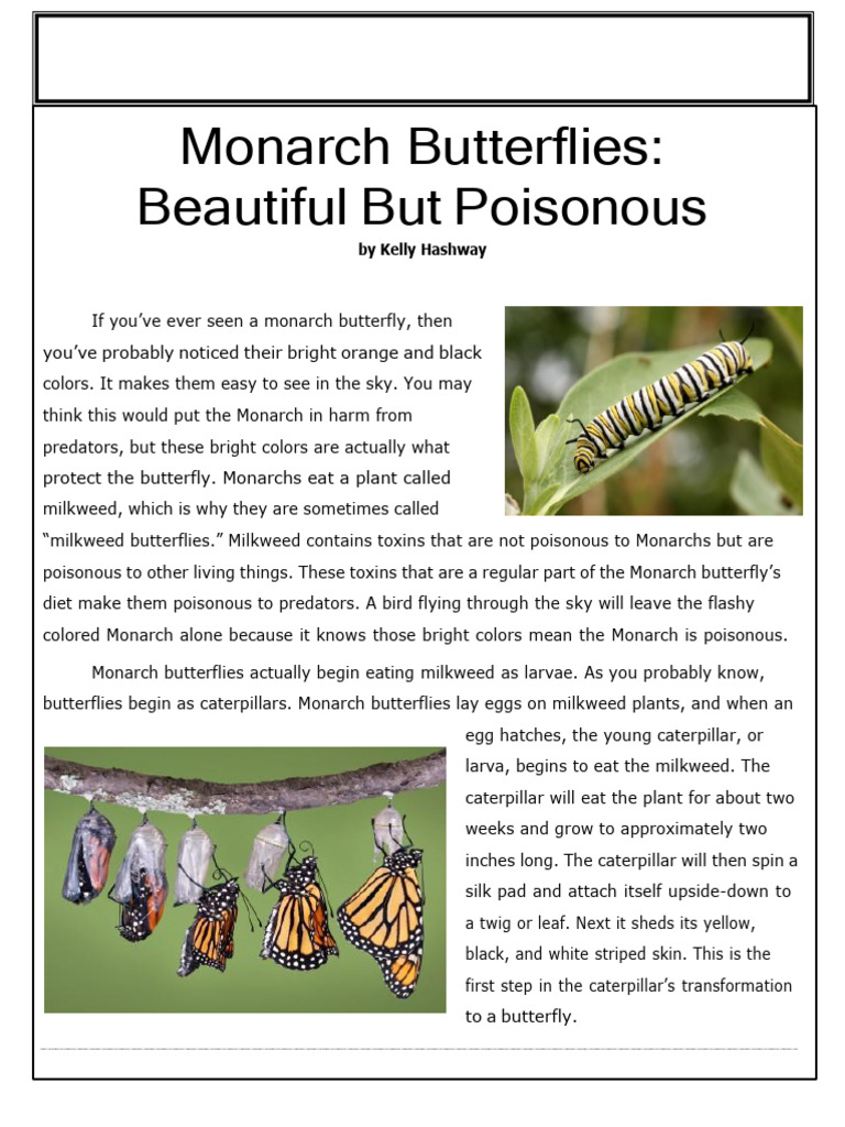 Monarch Butterfly Life Cycle Worksheet | PDF | Butterfly | Pupa
