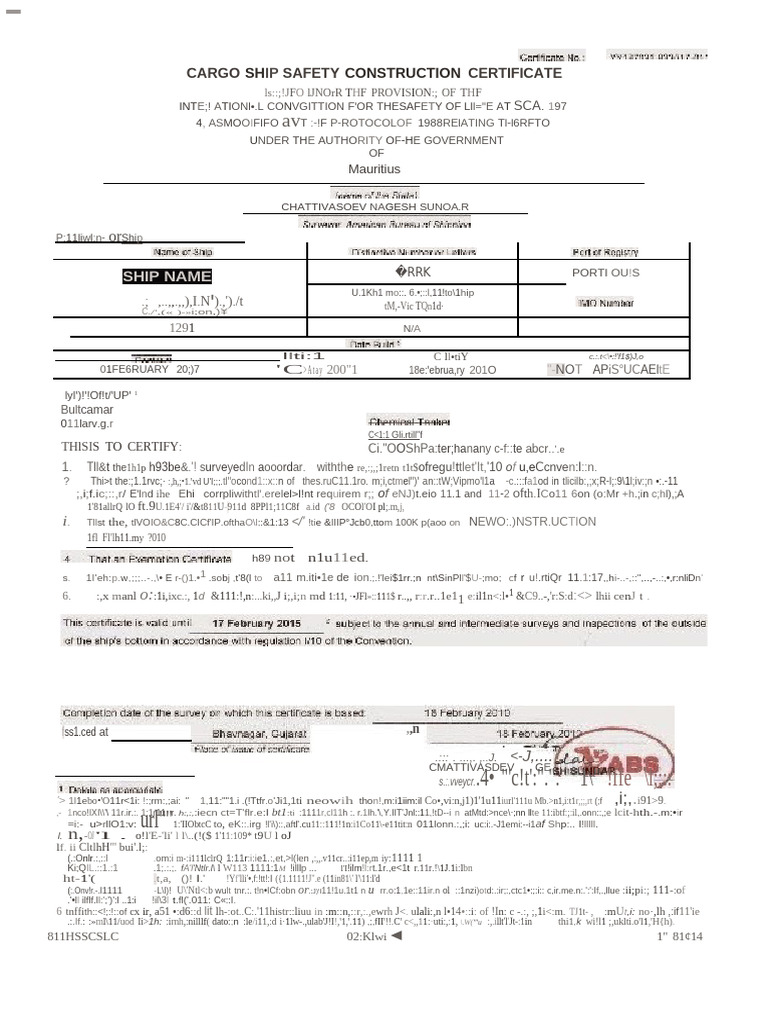 !ffe /L :::: Cargo Safety Certificate | PDF